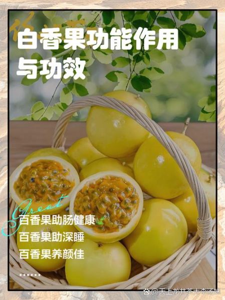 白果能治什么病_白果怎么吃才安全-第2张图片-山城妙识