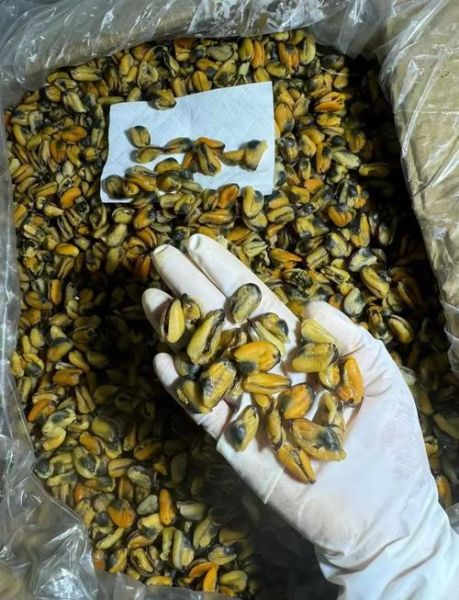 女人吃淡菜干的好处_淡菜干对女性的功效-第2张图片-山城妙识