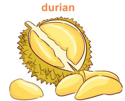 榴莲英语怎么说_榴莲英文发音怎么读-第1张图片-山城妙识