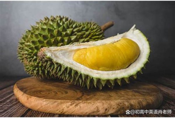 榴莲英语怎么说_榴莲英文发音怎么读-第2张图片-山城妙识