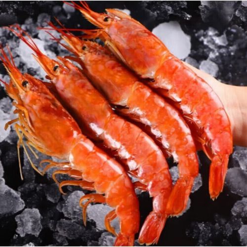 阿根廷红虾刺身怎么做_阿根廷红虾刺身安全吗-第2张图片-山城妙识