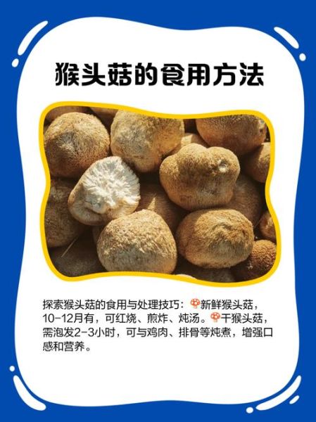 鲜猴头菇怎么做好吃_鲜猴头菇的家常做法-第2张图片-山城妙识