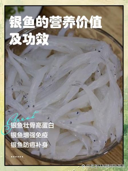 银鱼的营养价值与功效_银鱼怎么吃最补钙-第1张图片-山城妙识