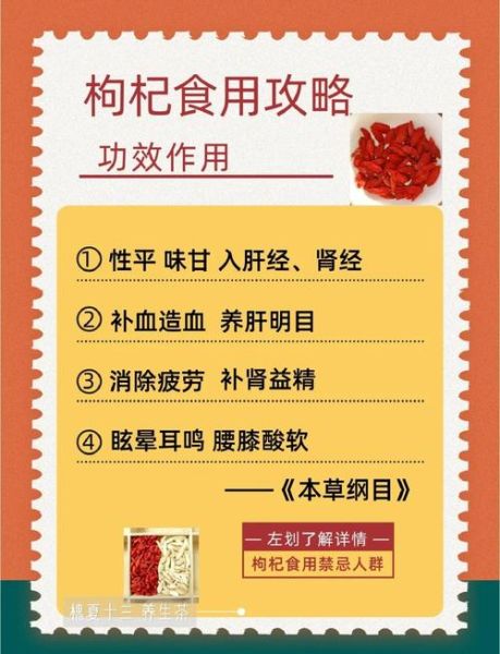 枸杞有什么作用_枸杞怎么吃效果最好-第1张图片-山城妙识