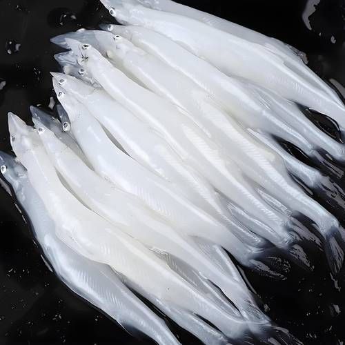 银鱼价格多少钱一斤_银鱼为什么这么贵-第2张图片-山城妙识