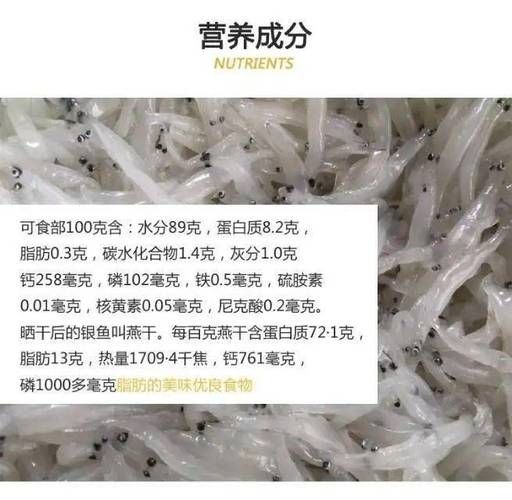 银鱼价格多少钱一斤_银鱼为什么这么贵-第1张图片-山城妙识