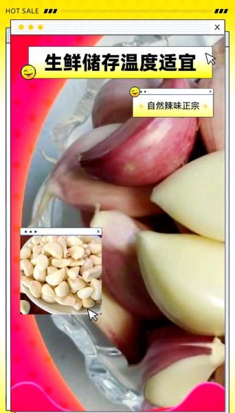 山东金乡大蒜论坛_如何挑选优质蒜种-第3张图片-山城妙识