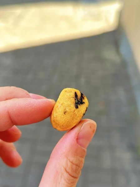 旺旺海苔花生热量高吗_孕妇能吃吗-第1张图片-山城妙识 旺旺海苔花生热量高吗_孕妇能吃吗-第1张图片-山城妙识