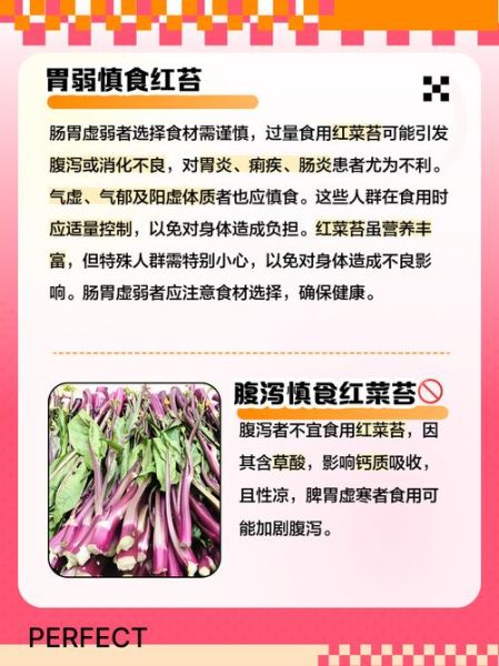 苔菜不适合什么人吃_苔菜禁忌人群有哪些-第1张图片-山城妙识