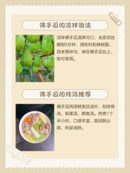 佛手瓜可以生吃吗_佛手瓜当水果怎么吃-第2张图片-山城妙识