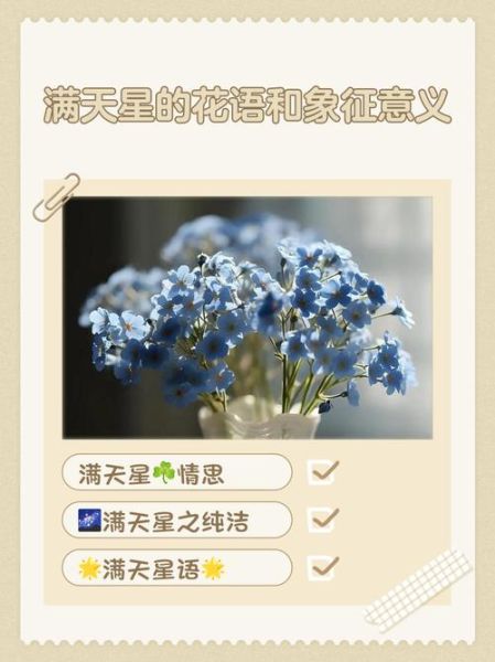 满天星花语是什么_满天星寓意有哪些-第1张图片-山城妙识 满天星花语是什么_满天星寓意有哪些-第1张图片-山城妙识