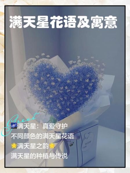 满天星花语是什么_满天星寓意有哪些-第2张图片-山城妙识 满天星花语是什么_满天星寓意有哪些-第2张图片-山城妙识