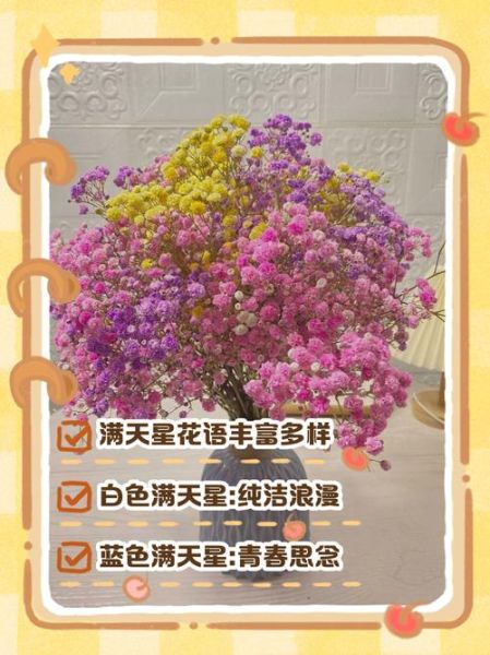 满天星花语是什么_满天星寓意有哪些-第3张图片-山城妙识 满天星花语是什么_满天星寓意有哪些-第3张图片-山城妙识