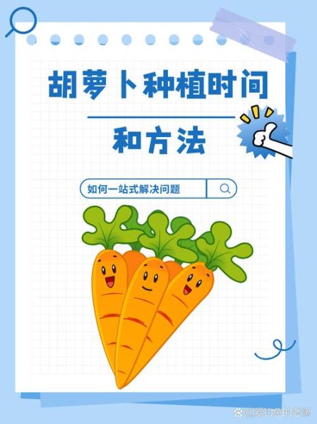 胡萝卜什么时候种_胡萝卜种植方法步骤-第2张图片-山城妙识 胡萝卜什么时候种_胡萝卜种植方法步骤-第2张图片-山城妙识