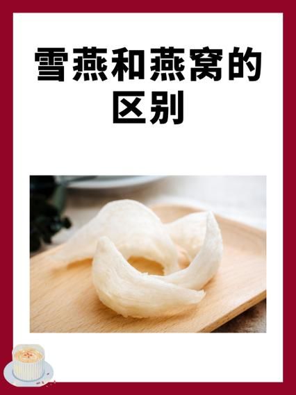 雪燕是什么东西_雪燕和燕窝的区别-第1张图片-山城妙识 雪燕是什么东西_雪燕和燕窝的区别-第1张图片-山城妙识