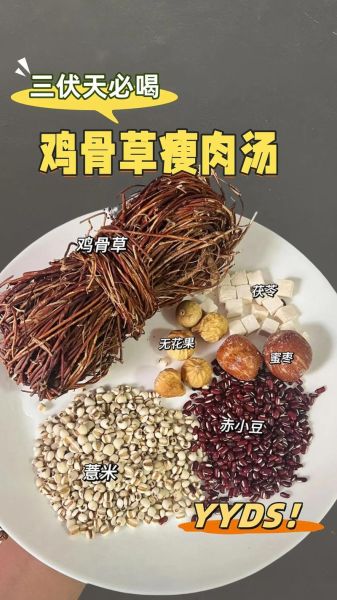 鸡骨草煲猪骨汤放什么料_鸡骨草猪骨汤功效-第1张图片-山城妙识