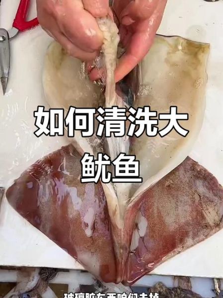 鱿鱼肚子里的籽能吃吗_怎么清洗-第2张图片-山城妙识