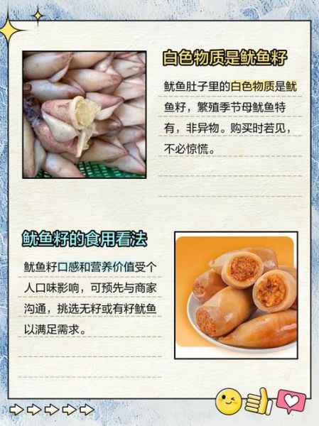鱿鱼肚子里的籽能吃吗_怎么清洗-第3张图片-山城妙识