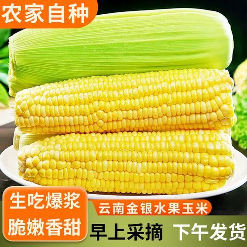 水果玉米多少钱一斤_水果玉米价格最新行情-第2张图片-山城妙识
