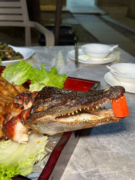 鳄鱼肉好吃吗_鳄鱼肉什么味道-第1张图片-山城妙识