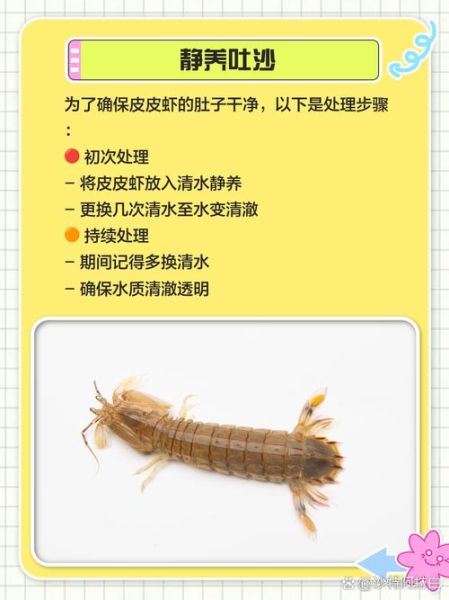 皮皮虾虾线怎么抽_去虾线最简单的方法-第1张图片-山城妙识 皮皮虾虾线怎么抽_去虾线最简单的方法-第1张图片-山城妙识