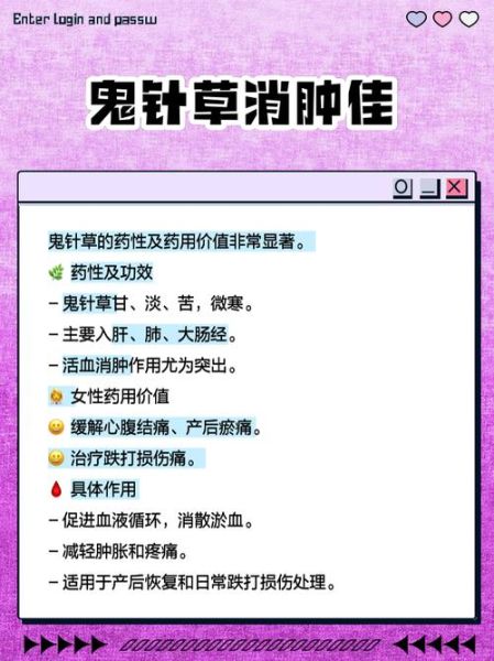 鬼针草泡水喝的功效与禁忌_长期喝有什么副作用-第3张图片-山城妙识