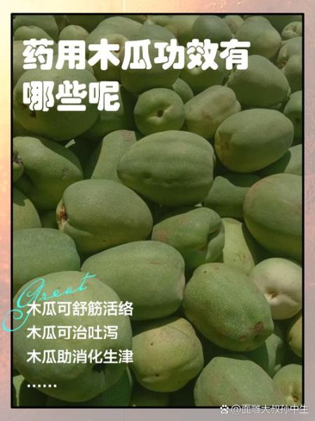 木瓜的药用价值有哪些_木瓜怎么吃最养生-第1张图片-山城妙识 木瓜的药用价值有哪些_木瓜怎么吃最养生-第1张图片-山城妙识