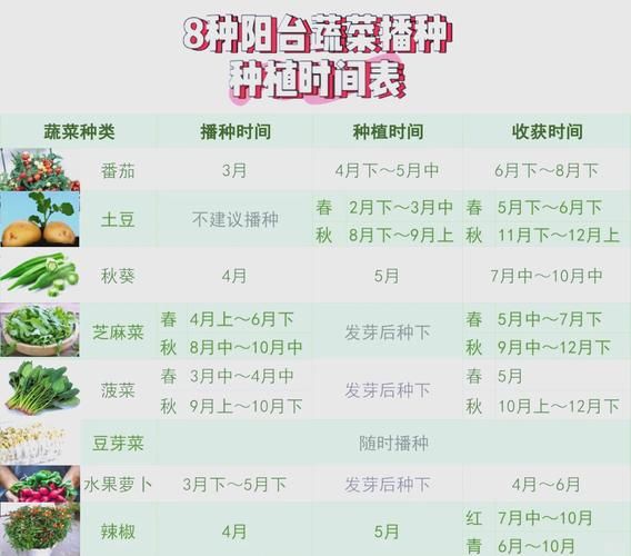 阳台蔬菜怎么种_适合新手的高产蔬菜有哪些-第1张图片-山城妙识