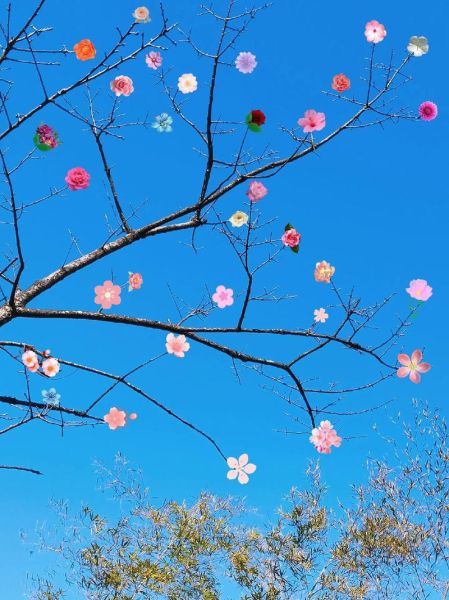 花枝招展是什么意思_花枝招展的近义词有哪些-第2张图片-山城妙识