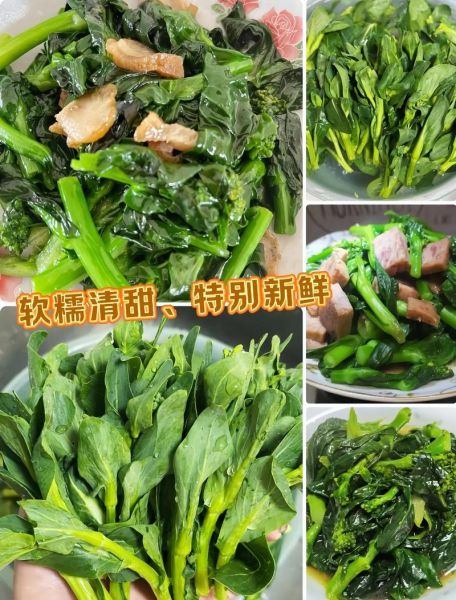 菜苔是什么_菜苔和菜心的区别-第2张图片-山城妙识 菜苔是什么_菜苔和菜心的区别-第2张图片-山城妙识