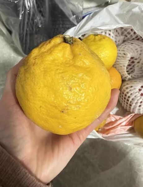 孕妇感冒了怎么办_孕妇感冒偏方大全-第1张图片-山城妙识 孕妇感冒了怎么办_孕妇感冒偏方大全-第1张图片-山城妙识