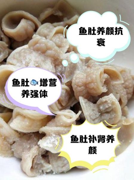 新鲜鱼肚的营养价值_孕妇可以吃吗-第1张图片-山城妙识 新鲜鱼肚的营养价值_孕妇可以吃吗-第1张图片-山城妙识