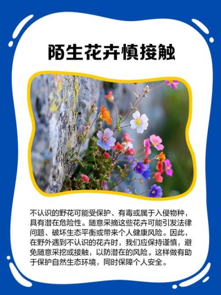 采花不成反被采是什么意思_如何避免采花不成反被采-第1张图片-山城妙识 采花不成反被采是什么意思_如何避免采花不成反被采-第1张图片-山城妙识