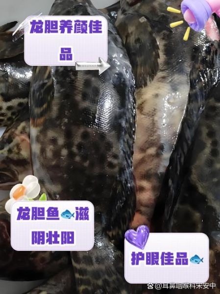 龙胆鱼和石斑鱼哪个贵_龙胆鱼价格为什么更高-第1张图片-山城妙识 龙胆鱼和石斑鱼哪个贵_龙胆鱼价格为什么更高-第1张图片-山城妙识