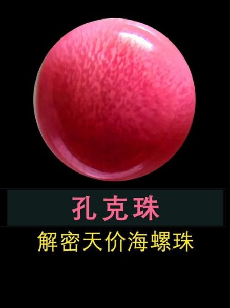 海螺珠子值钱吗_海螺珍珠价格行情-第2张图片-山城妙识 海螺珠子值钱吗_海螺珍珠价格行情-第2张图片-山城妙识