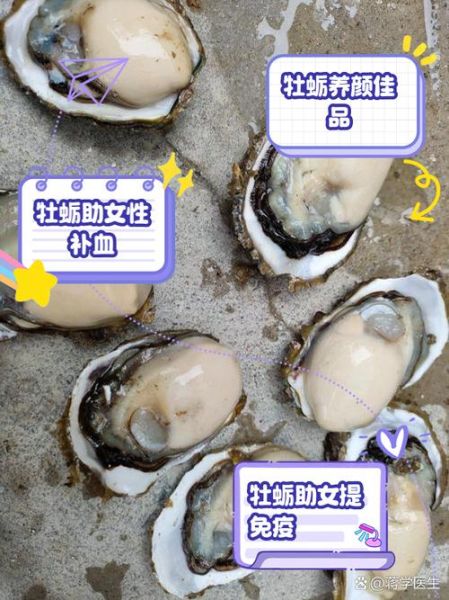 女人吃海蛎子的好处和坏处_海蛎子对女人有哪些影响-第2张图片-山城妙识 女人吃海蛎子的好处和坏处_海蛎子对女人有哪些影响-第2张图片-山城妙识