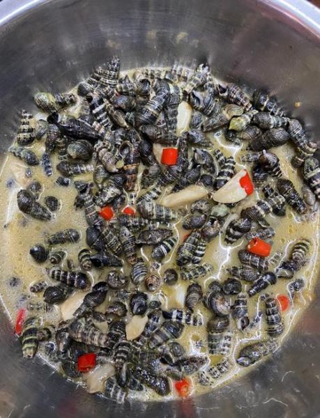 海螺丝焯水冷水还是热水下锅_海螺丝焯水正确方法-第1张图片-山城妙识 海螺丝焯水冷水还是热水下锅_海螺丝焯水正确方法-第1张图片-山城妙识