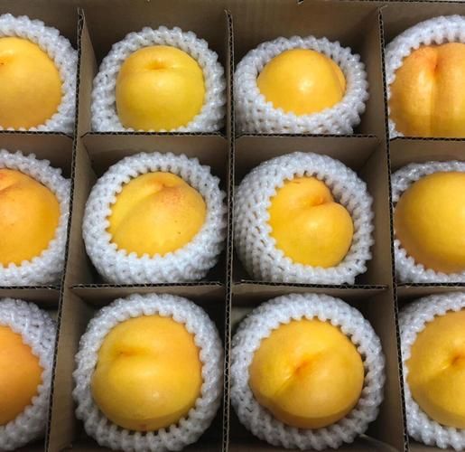 黄桃图库网怎么下载_黄桃图库网收费吗-第2张图片-山城妙识 黄桃图库网怎么下载_黄桃图库网收费吗-第2张图片-山城妙识