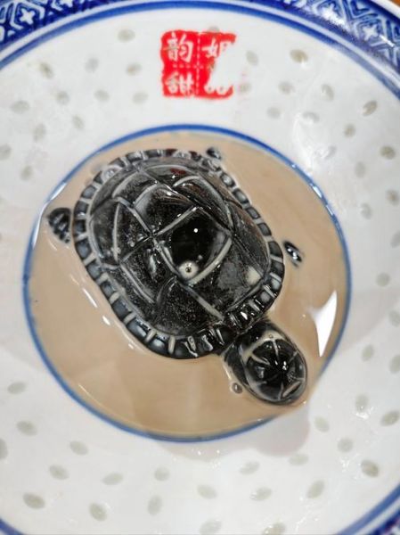 龟苓膏是增肥的还是减肥的_晚上吃会不会胖-第1张图片-山城妙识 龟苓膏是增肥的还是减肥的_晚上吃会不会胖-第1张图片-山城妙识