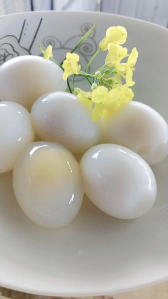 鸽子蛋和鸡蛋哪个营养高_孕妇吃鸽子蛋还是鸡蛋好-第1张图片-山城妙识 鸽子蛋和鸡蛋哪个营养高_孕妇吃鸽子蛋还是鸡蛋好-第1张图片-山城妙识