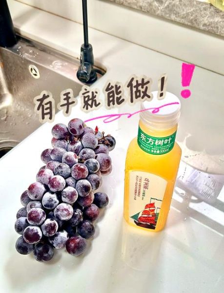 葡萄打汁怎么做_葡萄榨汁要不要去皮-第3张图片-山城妙识