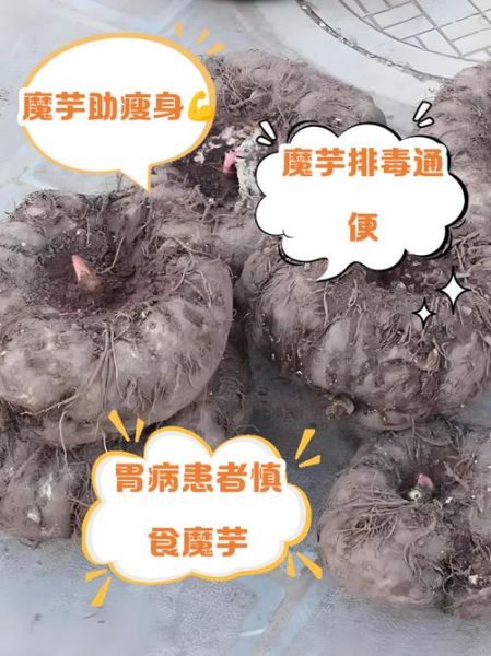魔芋是发物吗_哪些病人不能吃-第2张图片-山城妙识 魔芋是发物吗_哪些病人不能吃-第2张图片-山城妙识