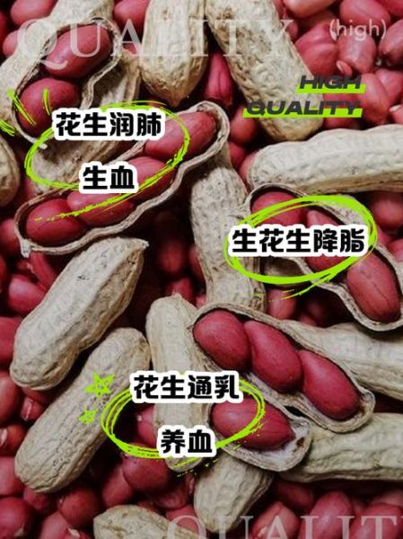 吃生花生的功效与作用_生花生一天吃多少合适-第3张图片-山城妙识 吃生花生的功效与作用_生花生一天吃多少合适-第3张图片-山城妙识