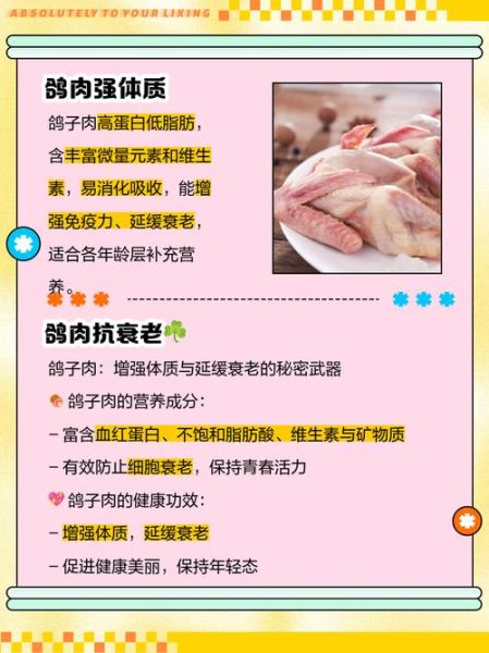 吃鸽子的功效与禁忌_哪些人不能吃-第1张图片-山城妙识 吃鸽子的功效与禁忌_哪些人不能吃-第1张图片-山城妙识