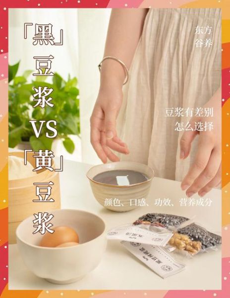 黄豆豆浆和黑豆豆浆哪个更好_怎么选-第2张图片-山城妙识