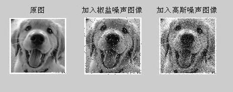 椒盐噪声和高斯噪声的区别_如何去除图像中的椒盐噪声和高斯噪声-第3张图片-山城妙识 椒盐噪声和高斯噪声的区别_如何去除图像中的椒盐噪声和高斯噪声-第3张图片-山城妙识
