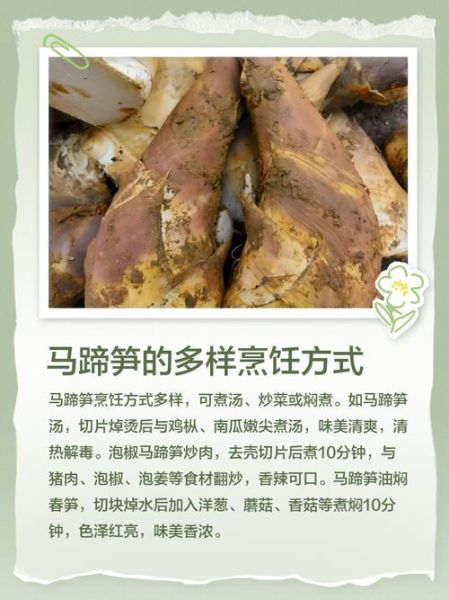 马蹄笋怎么做好吃_马蹄笋的做法大全-第2张图片-山城妙识 马蹄笋怎么做好吃_马蹄笋的做法大全-第2张图片-山城妙识