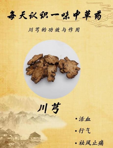 川芎的功效与作用是什么_川芎主治哪些疾病-第1张图片-山城妙识 川芎的功效与作用是什么_川芎主治哪些疾病-第1张图片-山城妙识