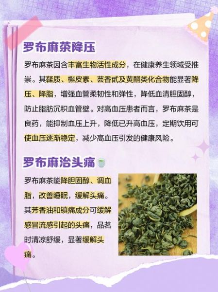 罗布麻茶副作用有哪些_罗布麻茶能长期喝吗-第2张图片-山城妙识