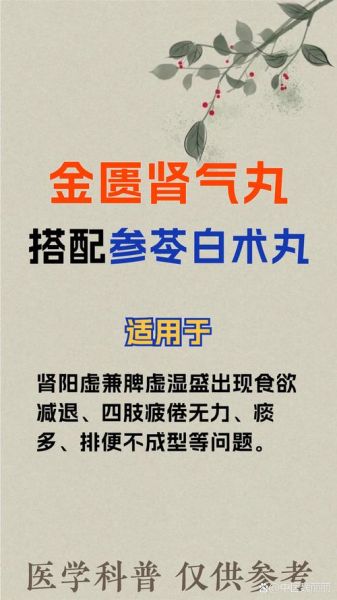 金匮肾气丸能壮阳吗_金匮肾气丸的功效与作用壮阳吗-第3张图片-山城妙识